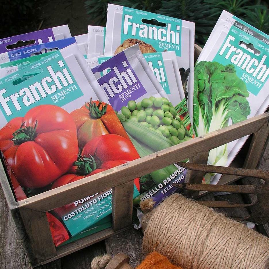 Franchi — The Worm that Turned - revitalising your outdoor space