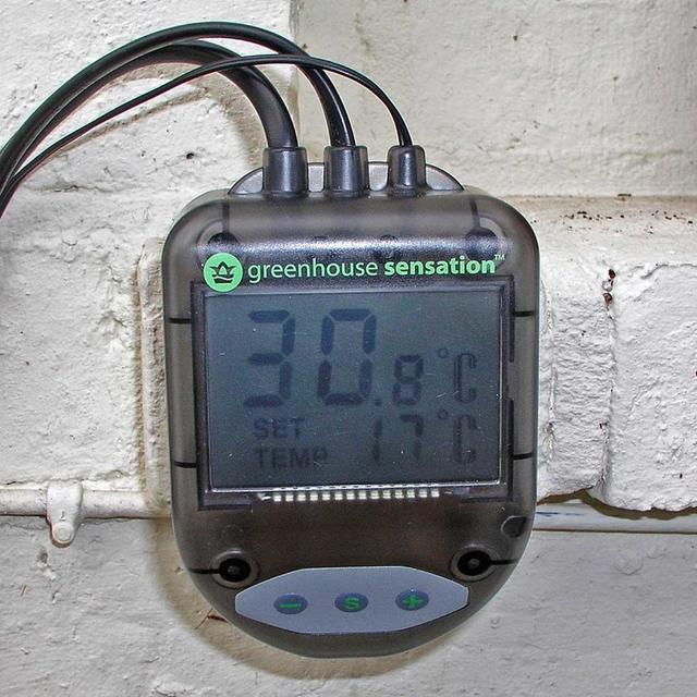 Vitopod — The Worm that Turned - revitalising your outdoor space