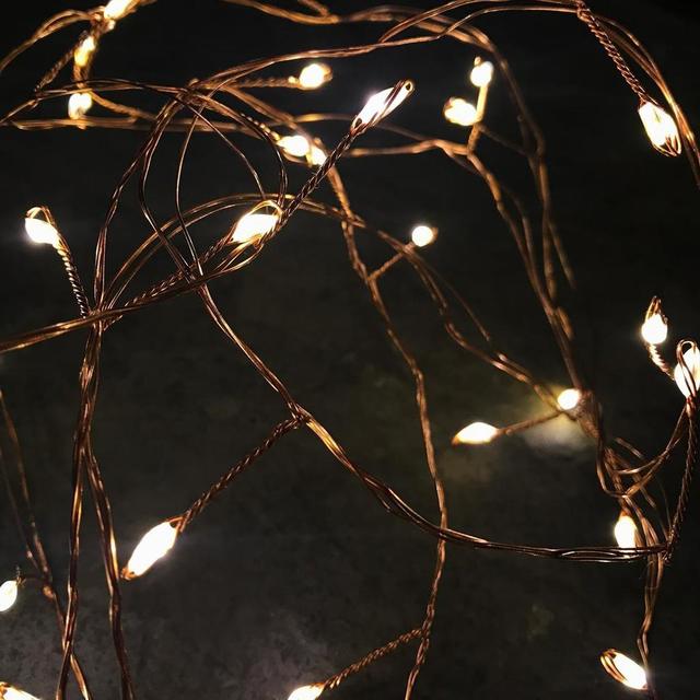 Buy Copper Cluster 300 LED Outdoor String Lights — The Worm that Turned ...