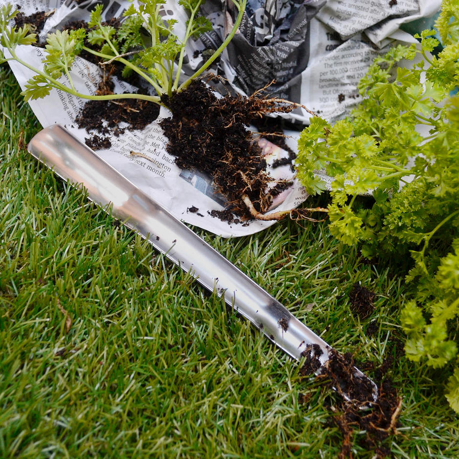 Buy Seedling Widger — The Worm that Turned - revitalising your outdoor ...