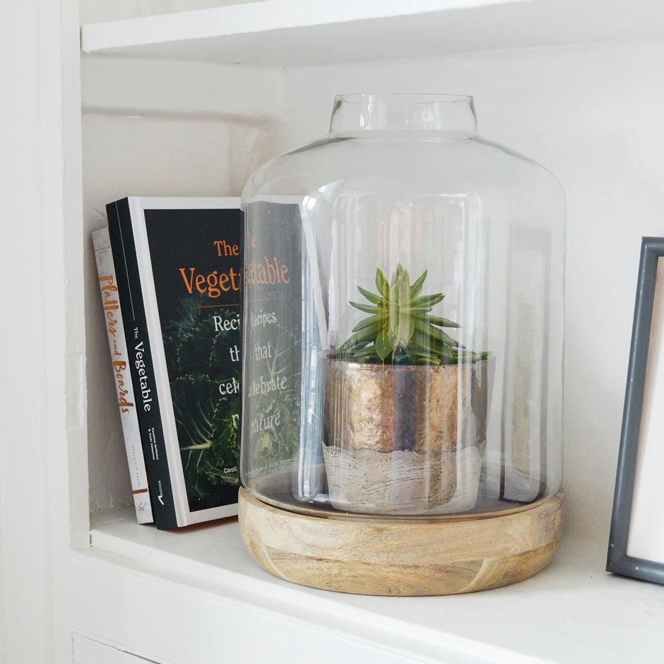 Buy Terrarium Display Dome with Wooden Base — The Worm that Turned ...