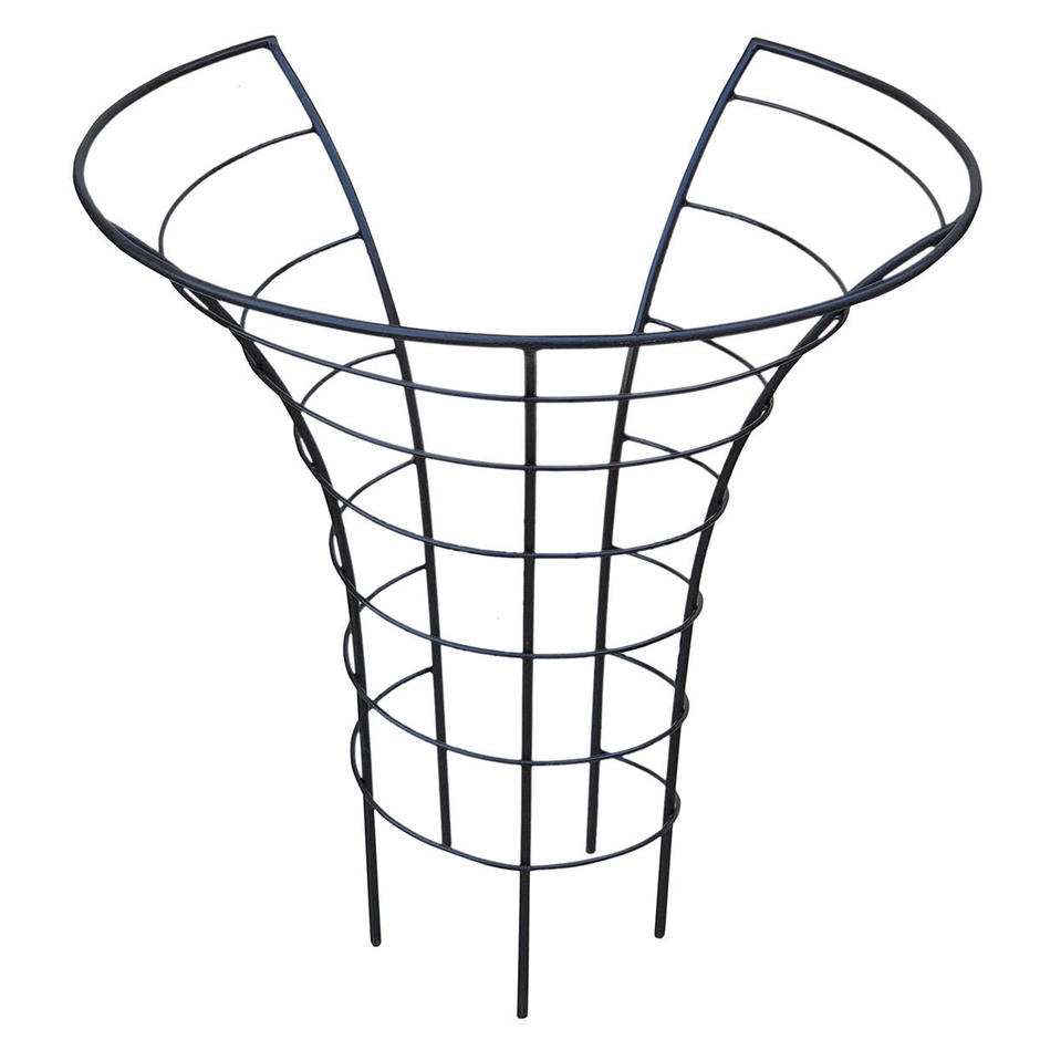 Buy Peony Metal Plant Frame — The Worm that Turned - revitalising your ...