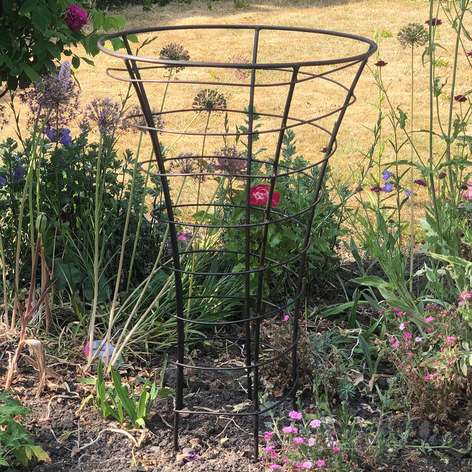 Buy Trumpet Spiral Metal Plant Frame — The Worm that Turned ...