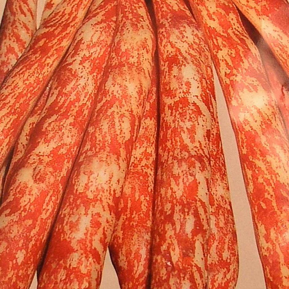 Buy Peas & Beans Seeds by Franchi — The Worm that Turned - revitalising ...