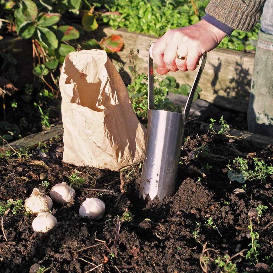 Buy Hand-held Bulb Planter — The Worm that Turned - revitalising your ...