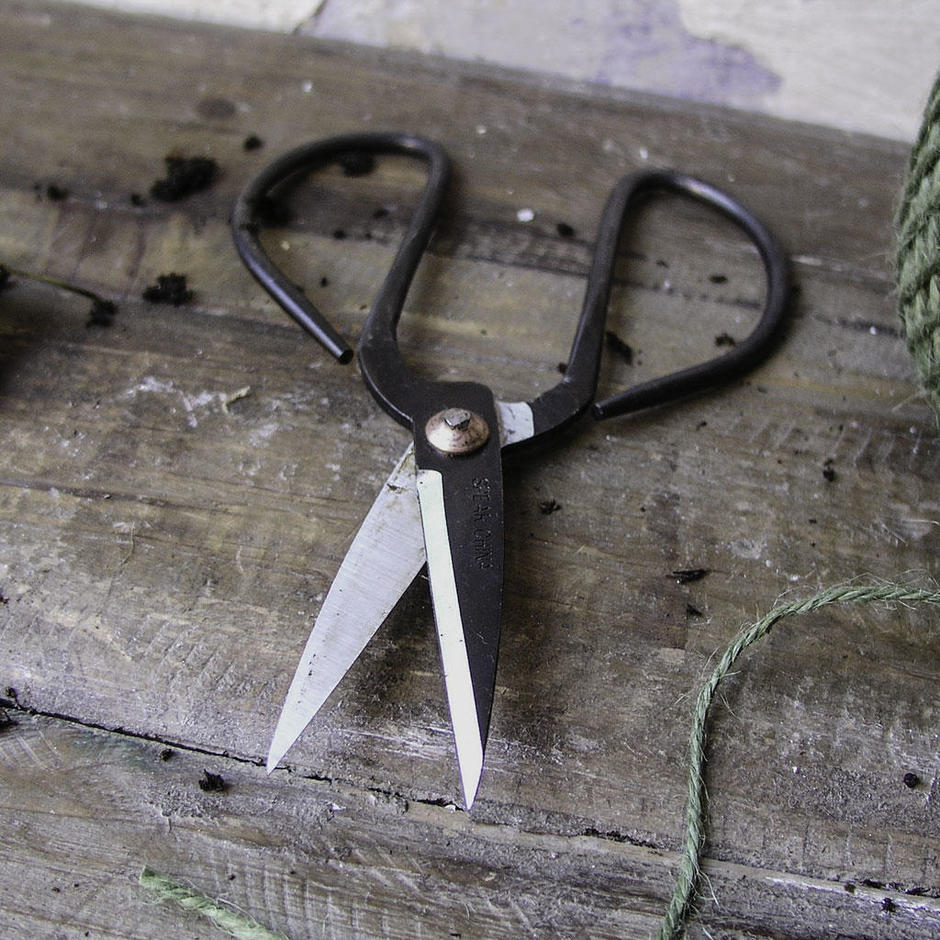 Buy Traditional Flower Scissors — The Worm that Turned - revitalising ...