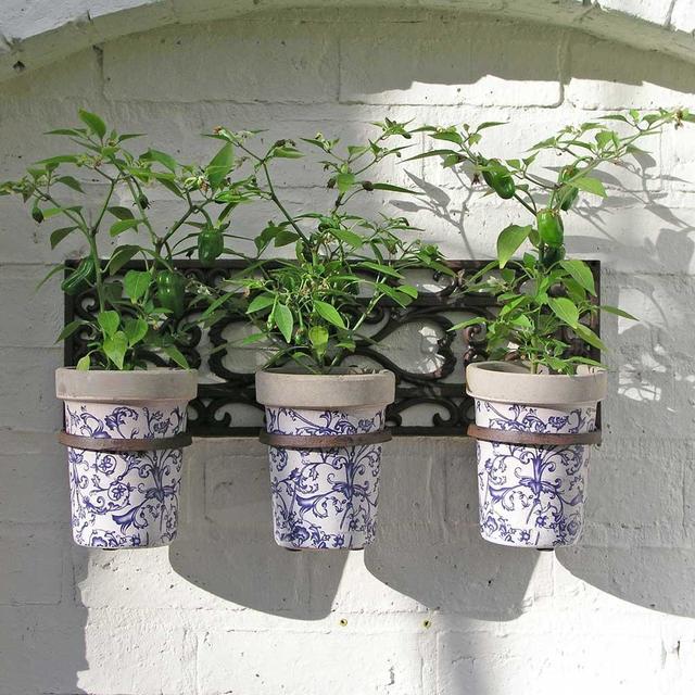 Buy Wall Holder with 3 Ceramic Pots — The Worm that Turned ...