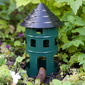 Slug Trap — The Worm that Turned - REVITALISING YOUR OUTDOOR SPACE