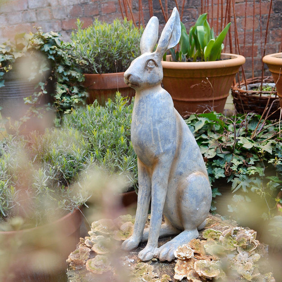 Buy Sitting Grey Hare — The Worm that Turned - revitalising your ...