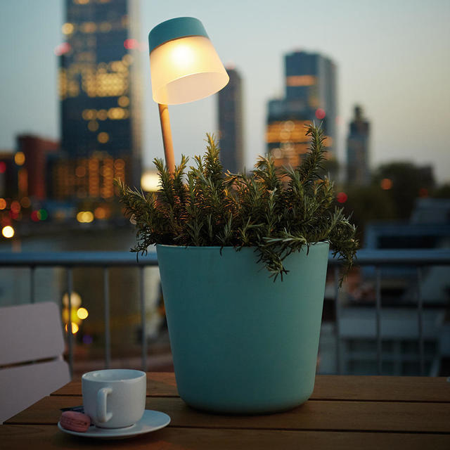 Buy Table Planter with LED Light — The Worm that Turned - revitalising ...