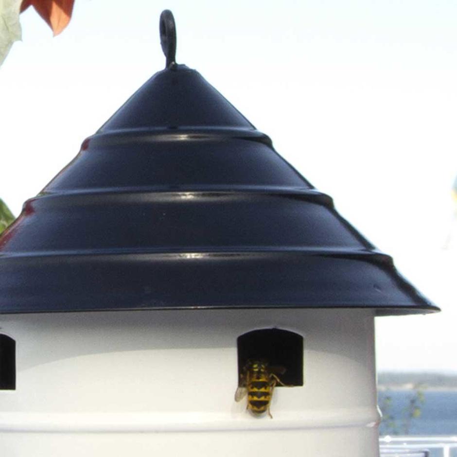 Buy Wasp Catcher — The Worm that Turned - revitalising your outdoor space