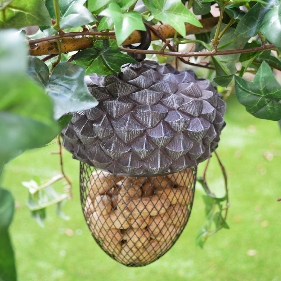 Buy Acorn Bird Feeder — The Worm that Turned - revitalising your ...