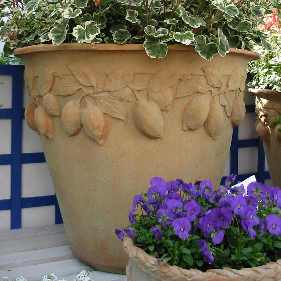 Buy Citrus Planter — The Worm that Turned - revitalising your outdoor space
