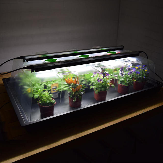 Buy Geopod Propagator with Integrated Lights. — The Worm that Turned ...