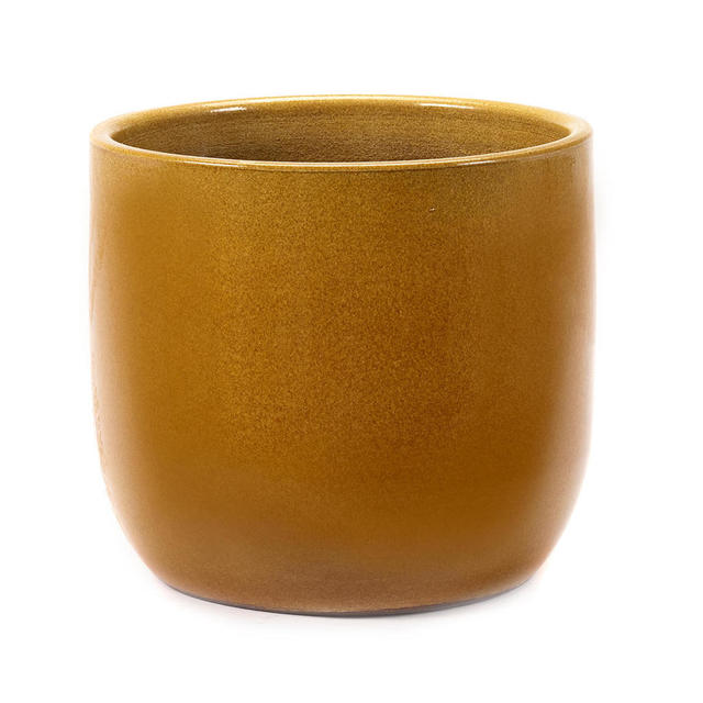 Buy Glazed Yellow Honey Plant Pot — The Worm that Turned - revitalising ...