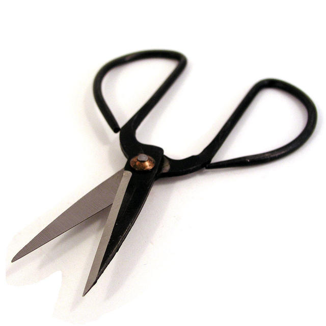 Buy Traditional Flower Scissors — The Worm that Turned - revitalising ...